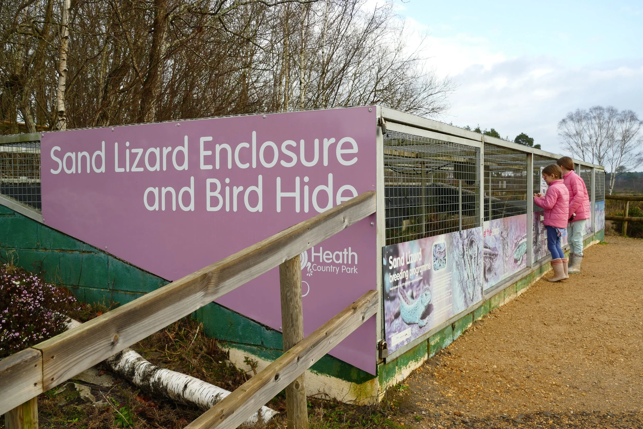 A walk for the whole family at Avon Heath Country Park — The Ambling ...