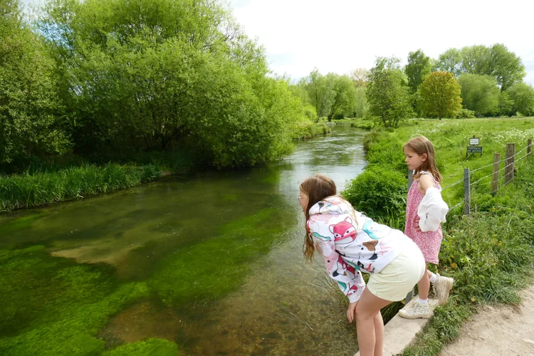 A collection of short and easy walks around The River Itchen in ...