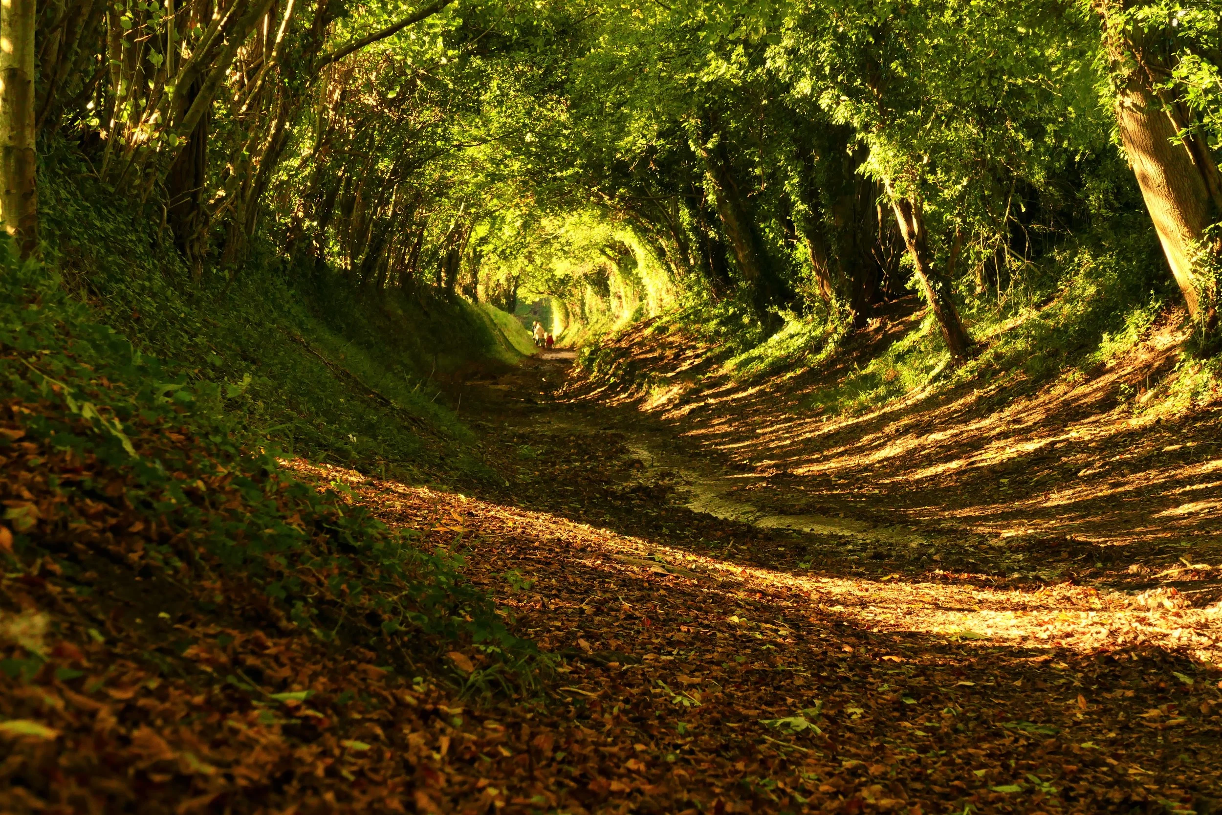 A walk for the whole family to Halenaker Windmill — The Ambling Path ...