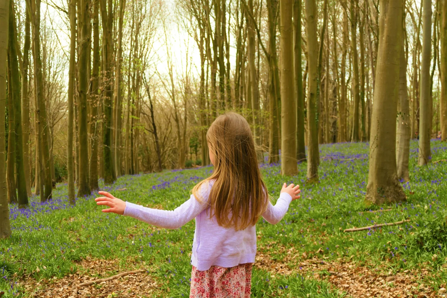A circular walk for the whole family around Nore Wood on the Slindon ...