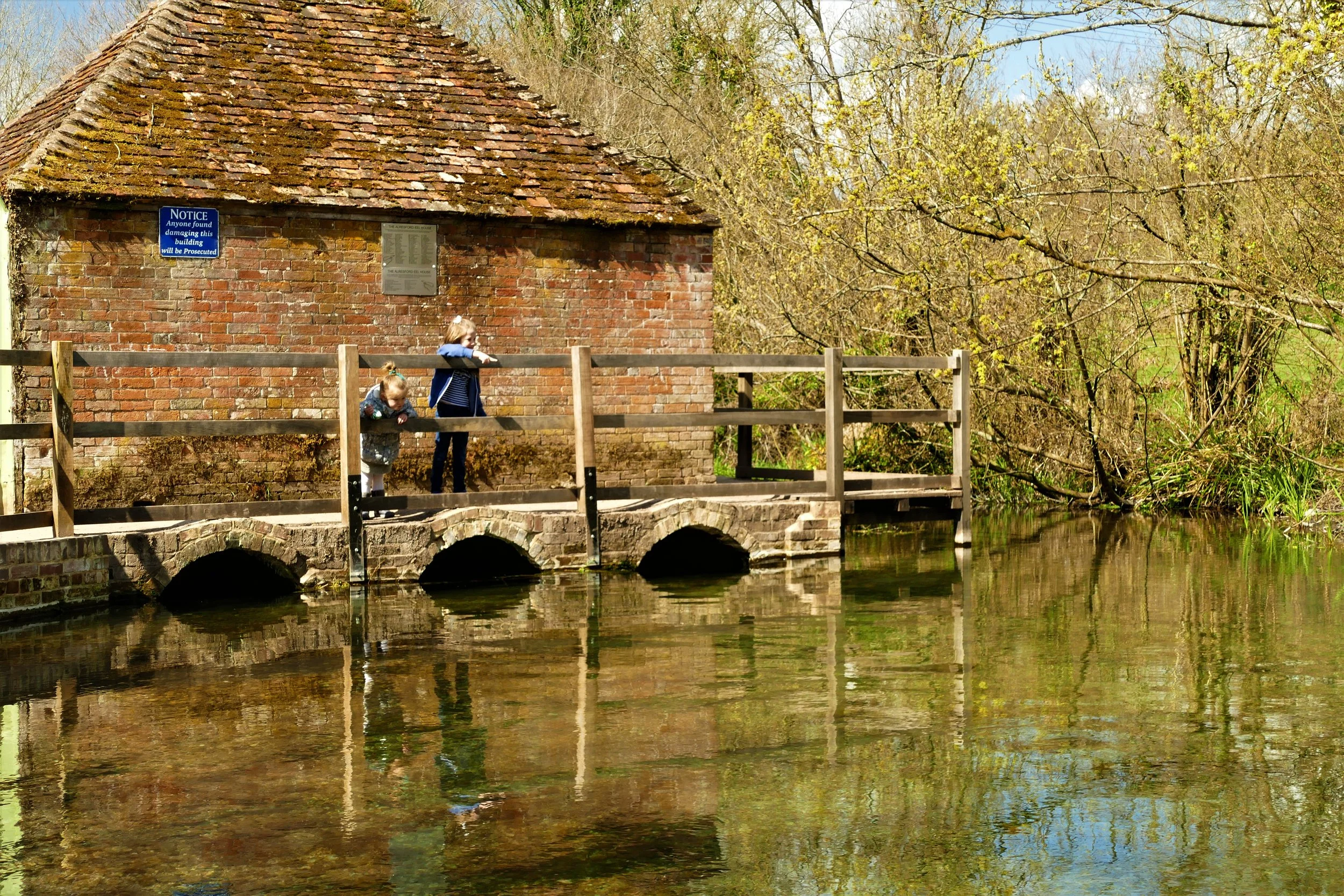 A circular river walk for the whole family around Alresford — The ...