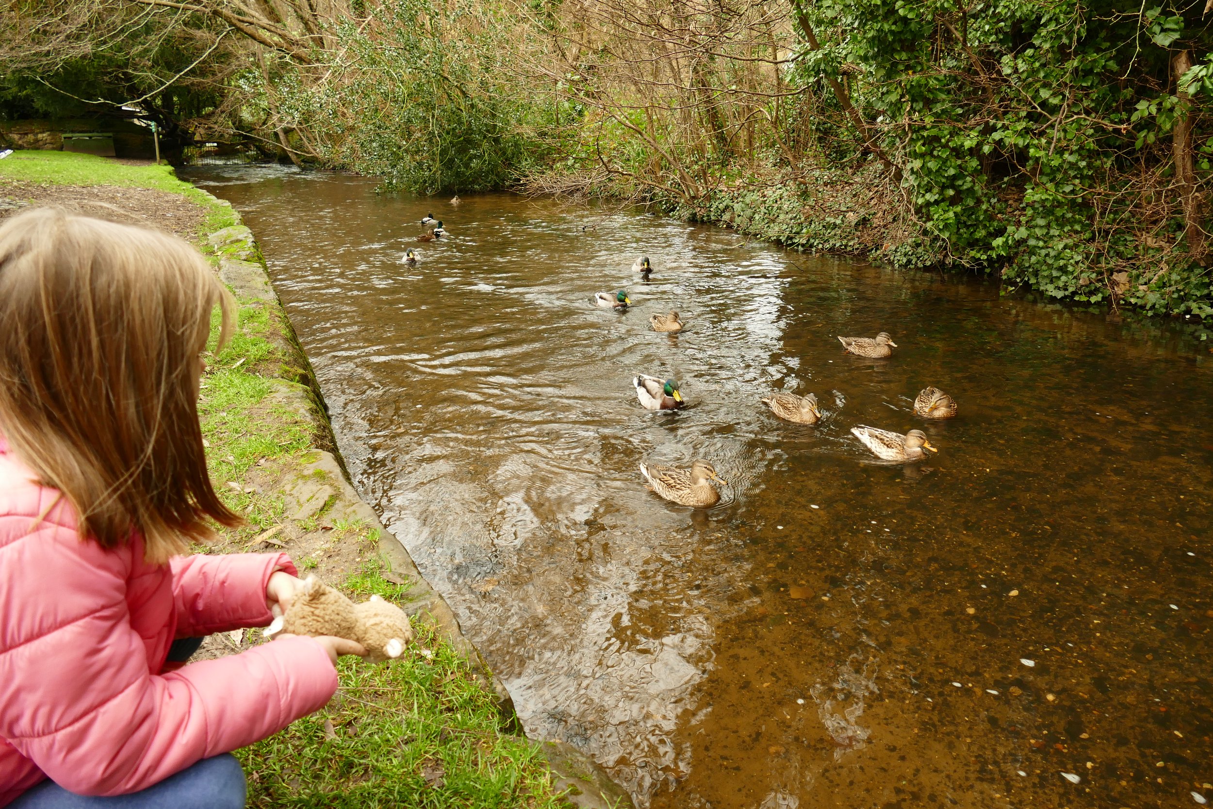A walk for the whole family around Shere — The Ambling Path - Family ...