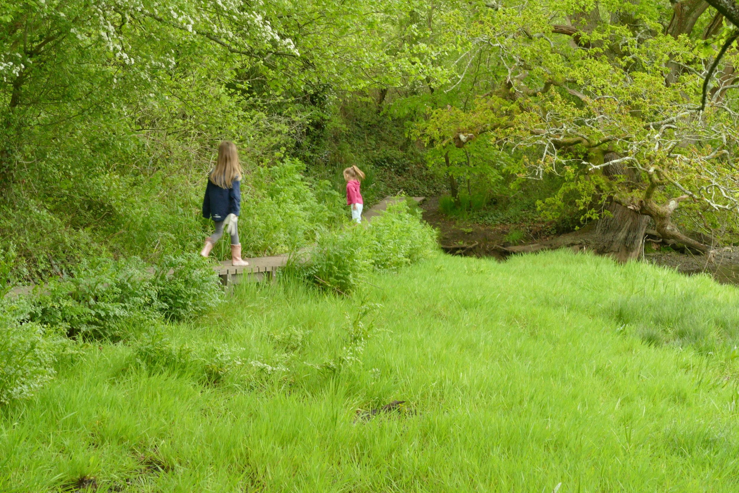 A walk for the whole family along Curbridge Nature Reserve to The Fairy ...