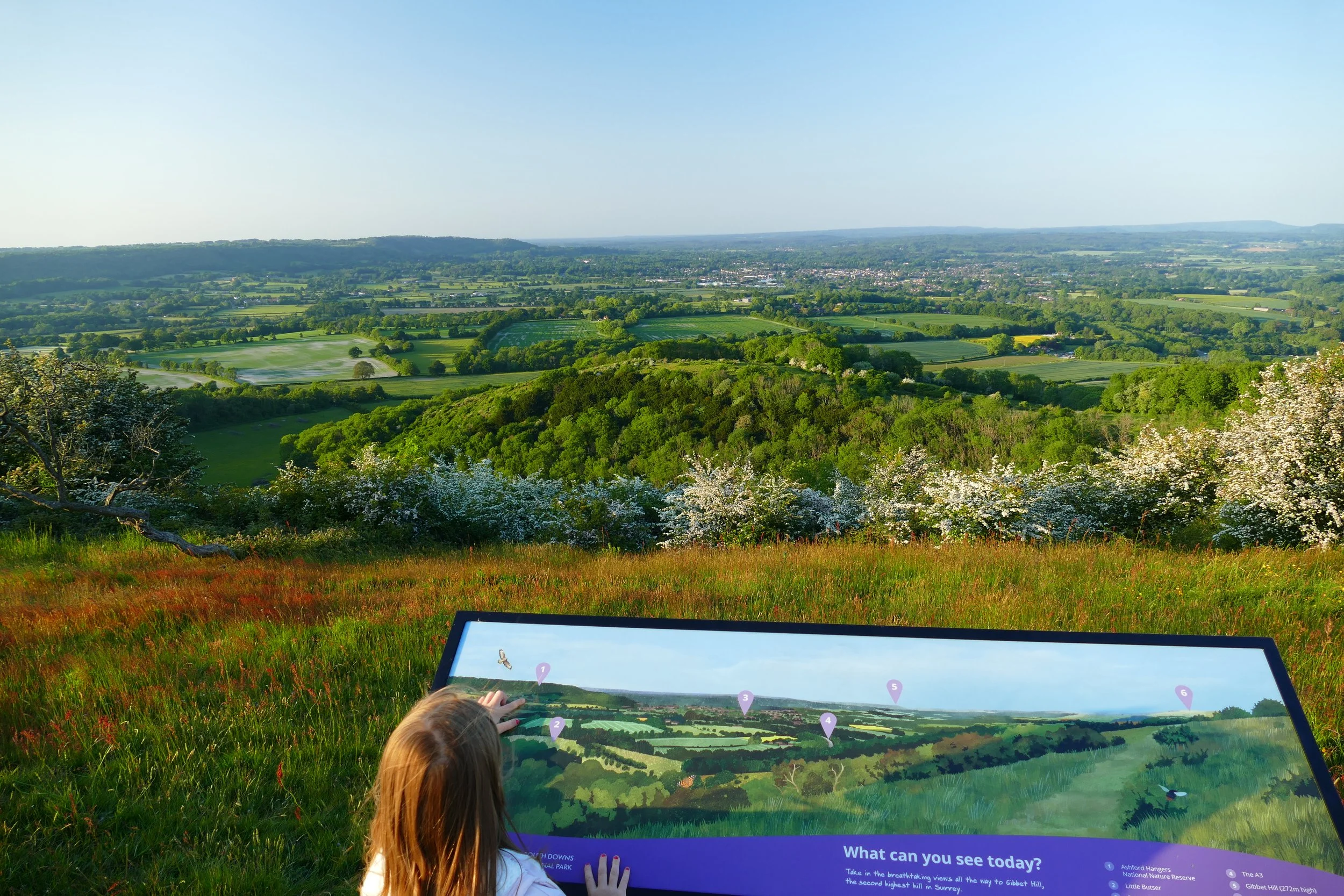 A circular walk for the whole family on Butser Hill — The Ambling Path ...