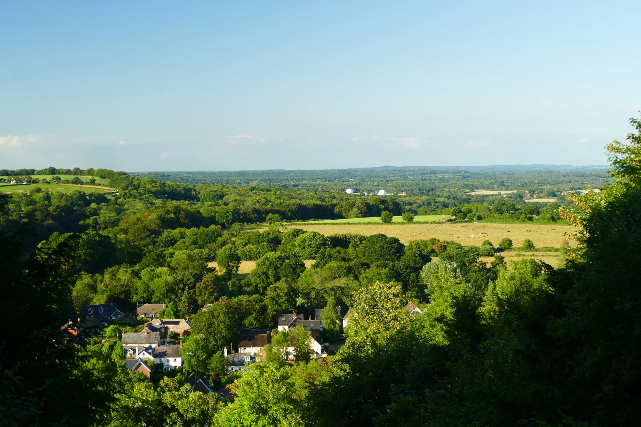 A walk for the whole family up the zig-zag path in Selborne — The ...
