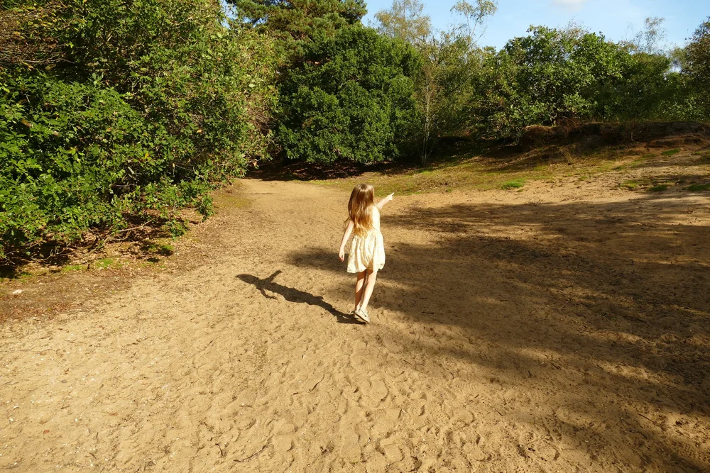A walk for the whole family around Kingsley Common and Pond, near ...