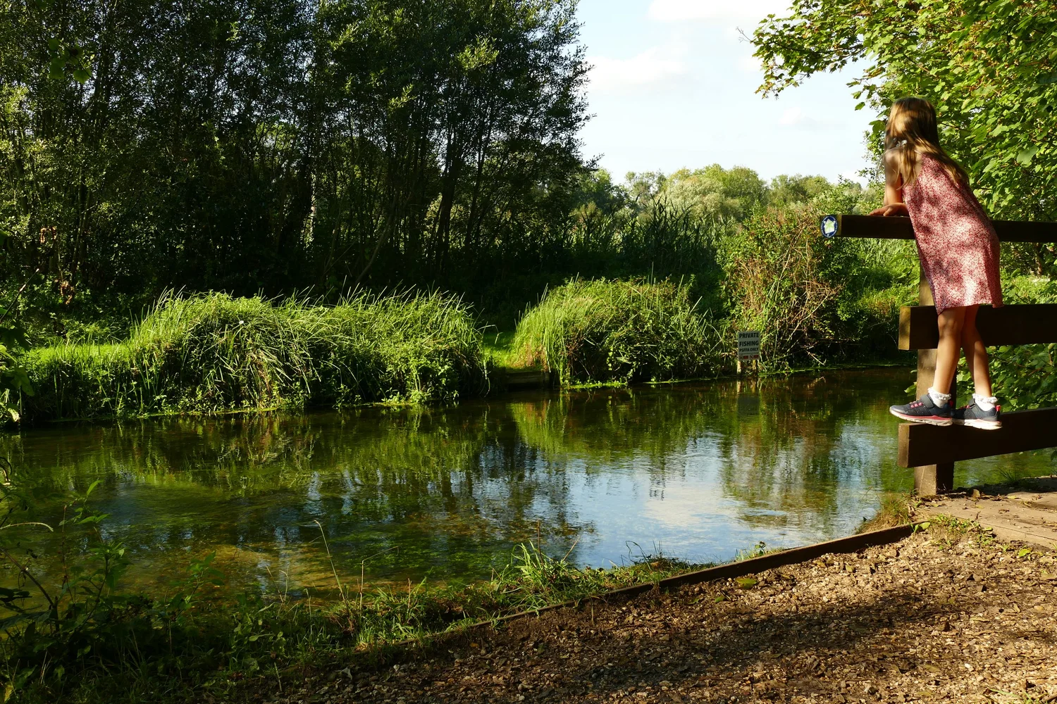 A walk for the whole family along The Otter Trail near Otterbourne ...