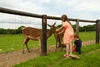 A walk for the whole family from Petersfield to Sky Park Farm — The ...