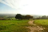 A circular walk for the whole family linking Newlands Corner and Silent ...