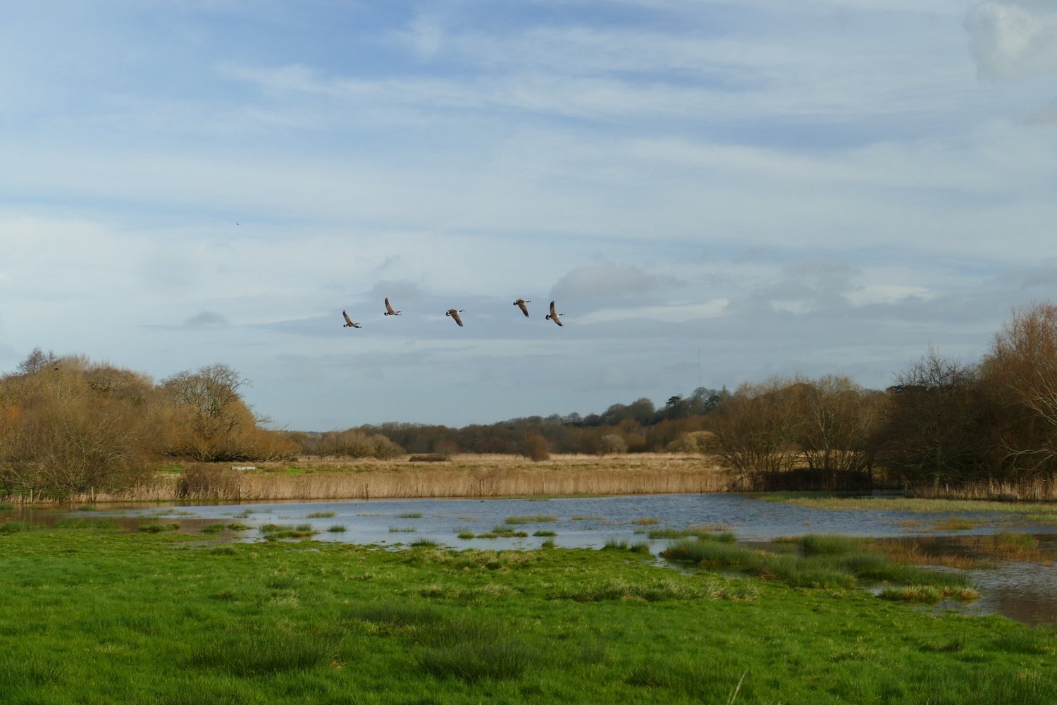 A circular walk for the whole family at Titchfield Haven National ...