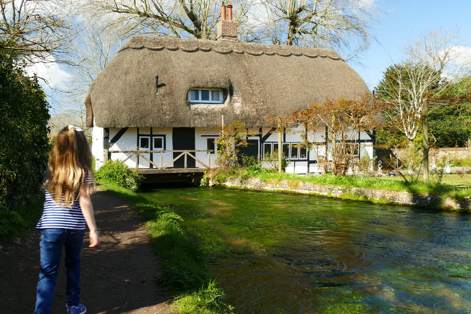 A circular river walk for the whole family around Alresford — The ...