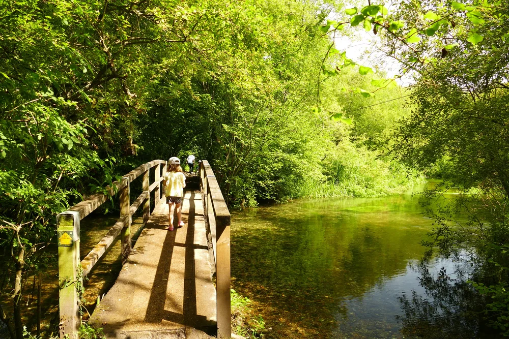 A walk for the whole family from Itchen Stoke to Ovington — The Ambling ...