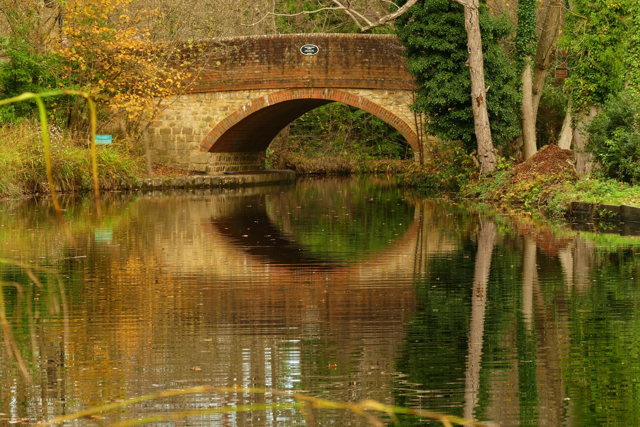 A circular walk for the whole family from The Basingstoke Canal Centre ...