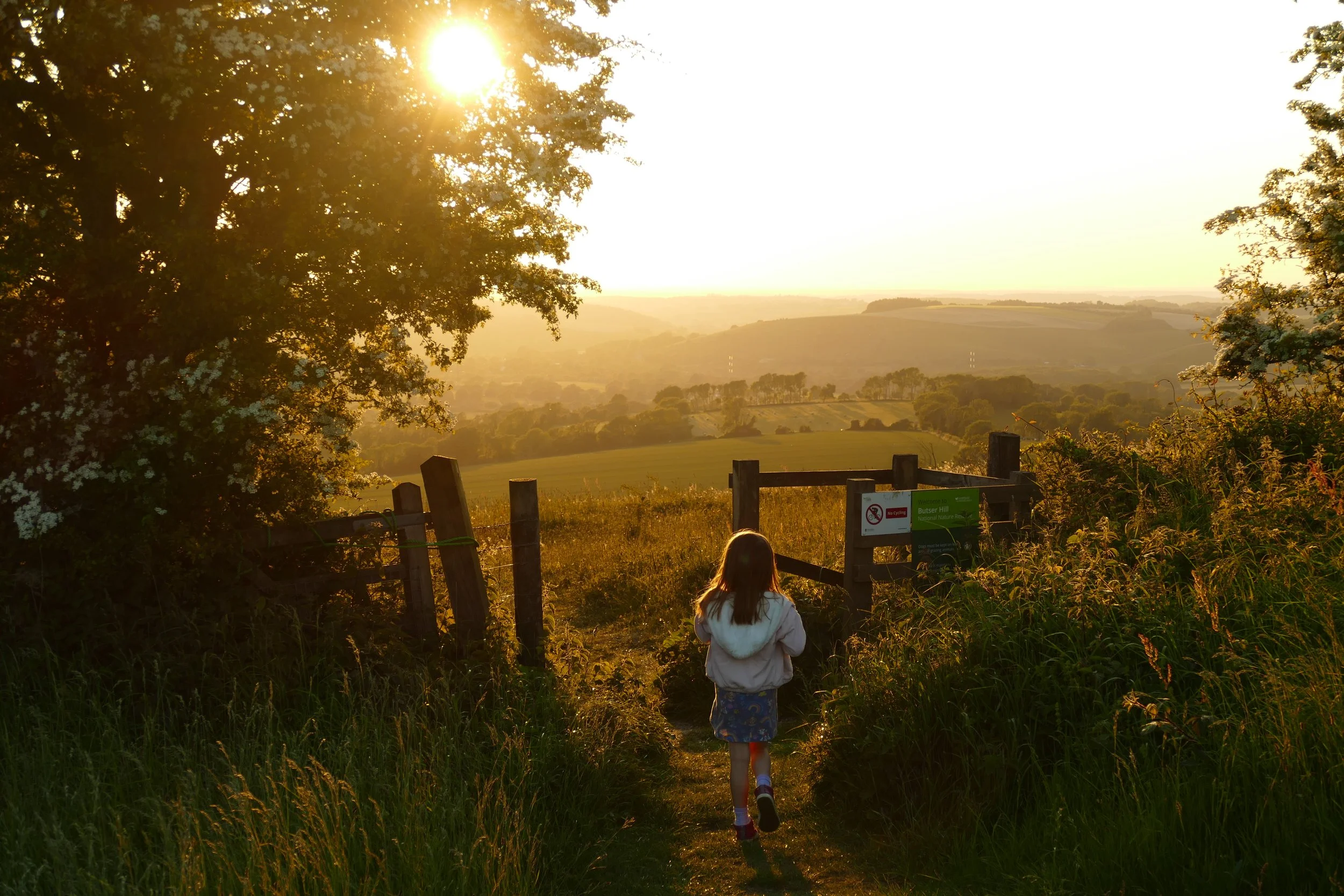 A circular walk for the whole family on Butser Hill — The Ambling Path ...