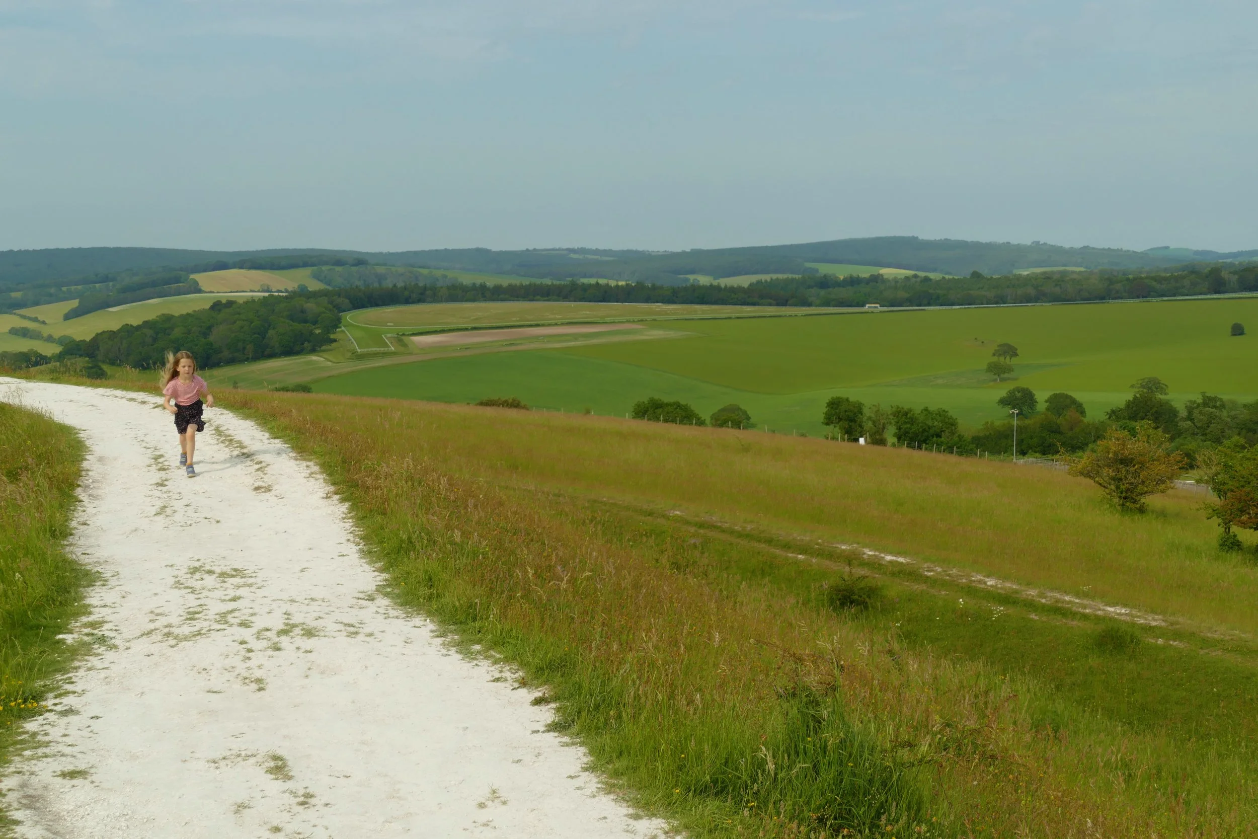 A walk for the whole family to The Trundle overlooking Goodwood — The ...