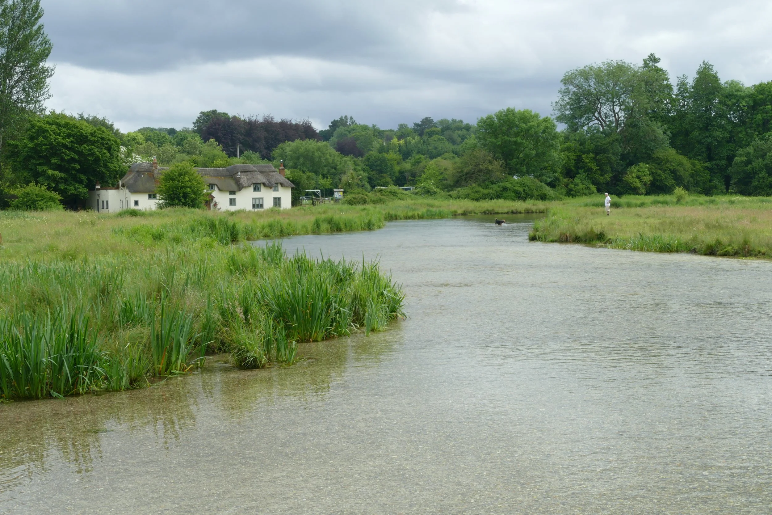 A walk for the whole family at Chilbolton — The Ambling Path - Walks in ...