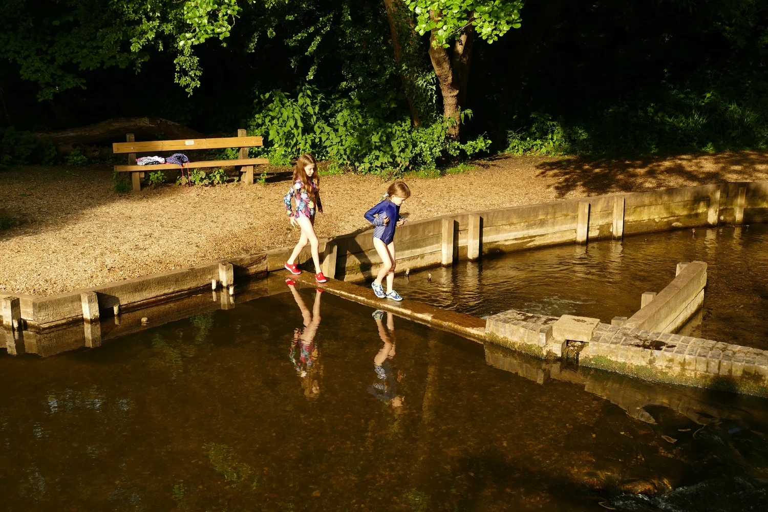 A collection of walks along the River Meon — The Ambling Path - Walks ...