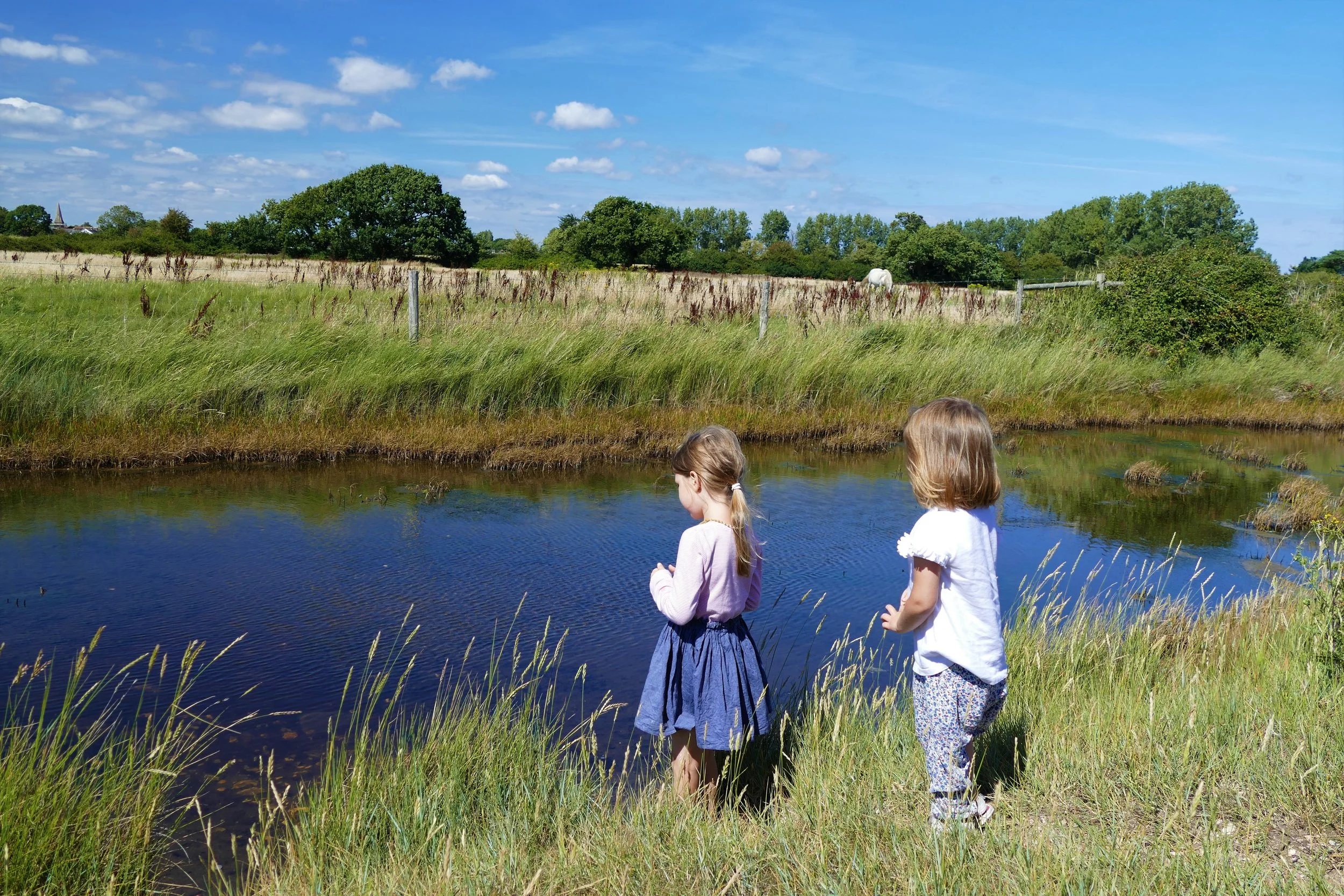 A walk for the whole family from Nutbourne in Chichester Harbour — The ...