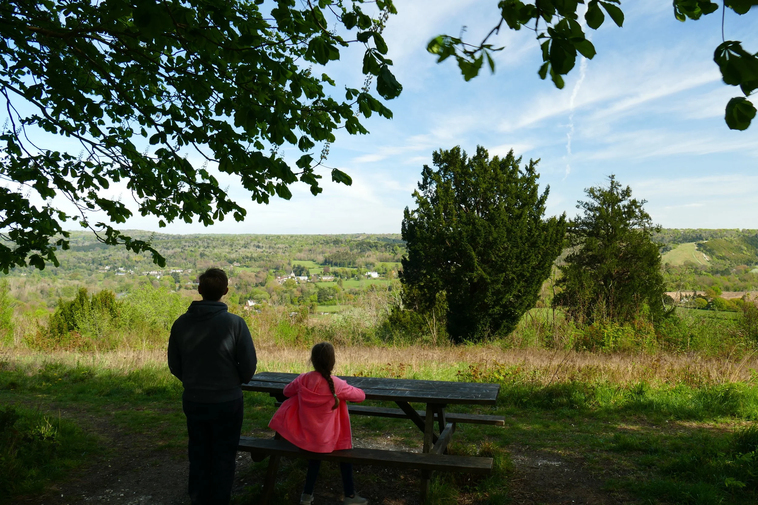 A walk for the whole family at Leith Hill, Dorking — The Ambling Path ...