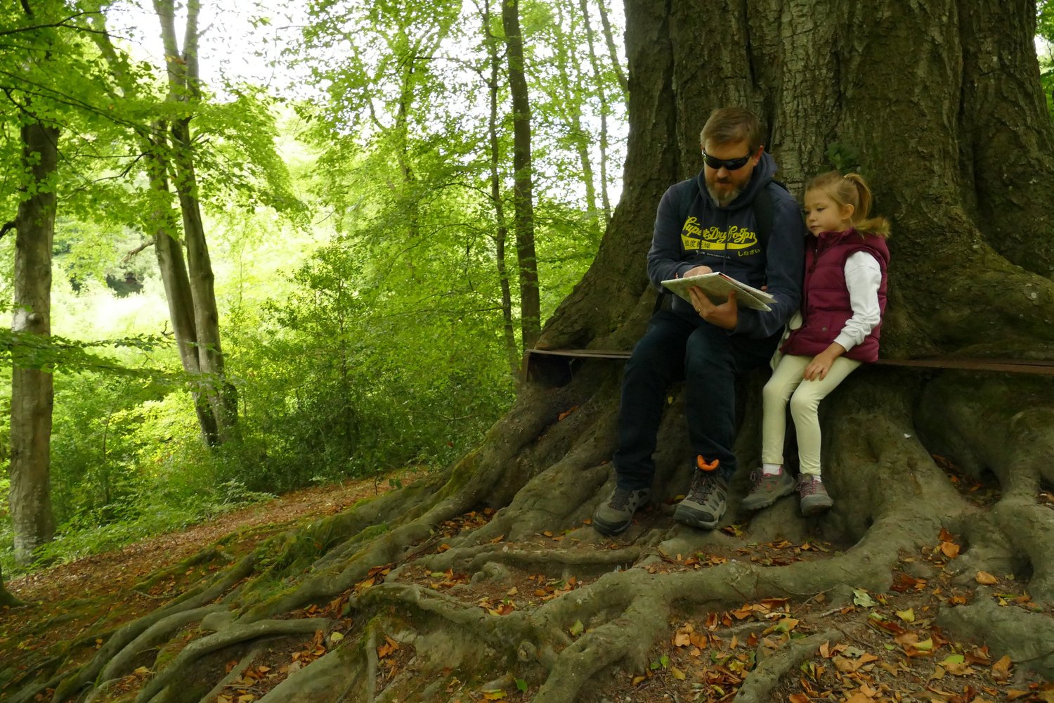 A walk for the whole family up the zig-zag path in Selborne — The ...