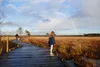 A walk for the whole family across Thursley Common — The Ambling Path ...