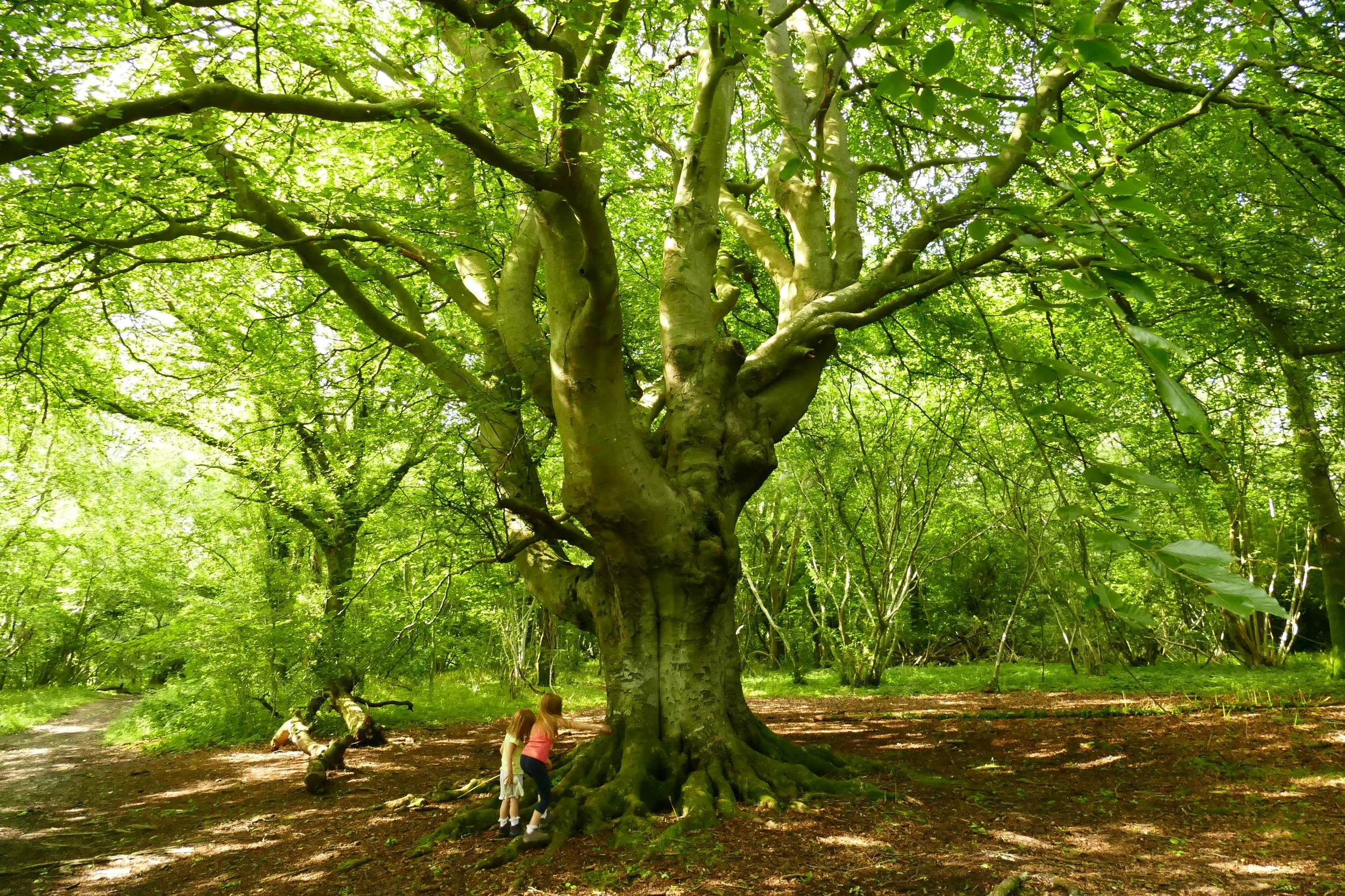 A circular walk for the whole family around Clanfield, Waterlooville ...
