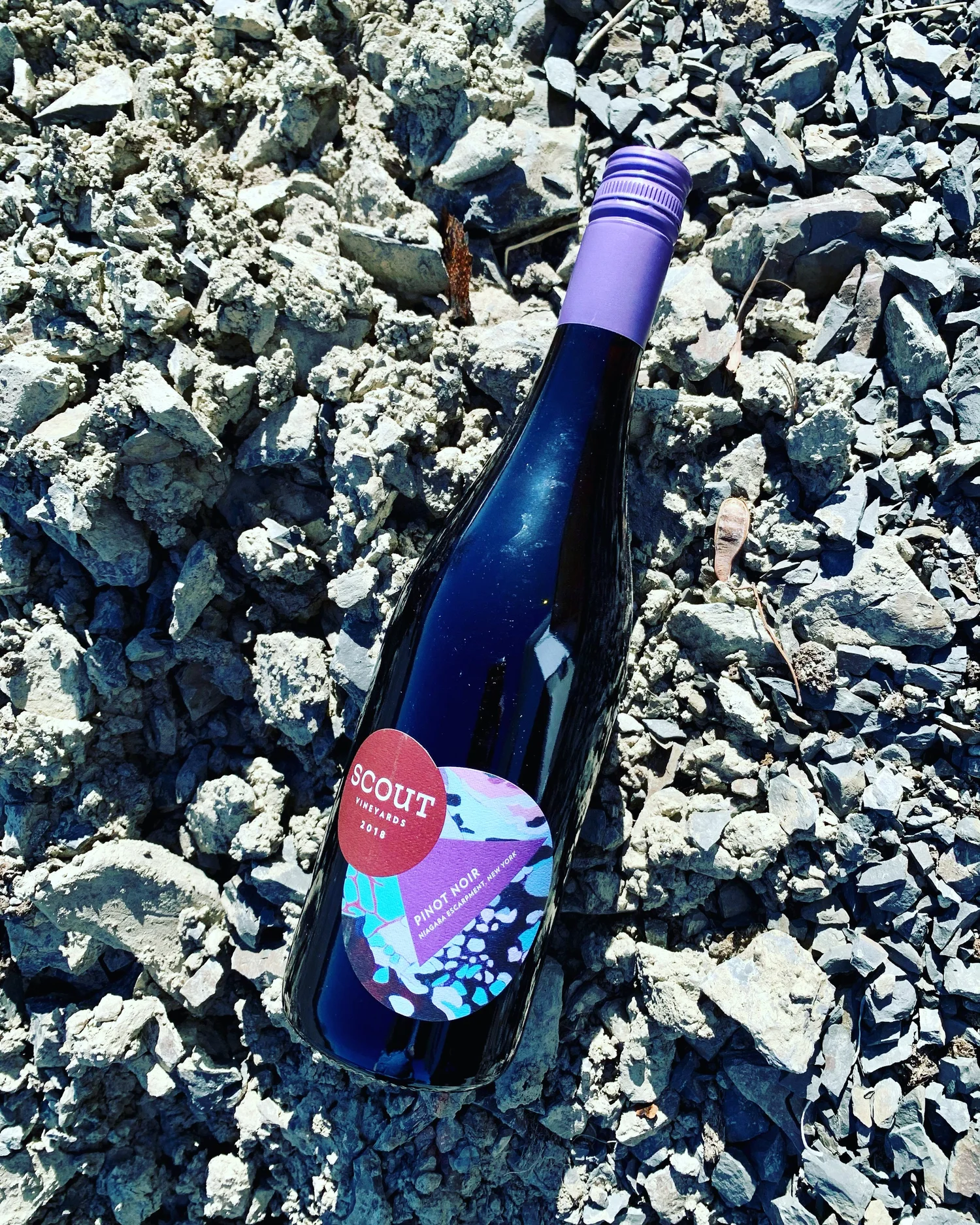 General 1 — SCOUT VINEYARDS