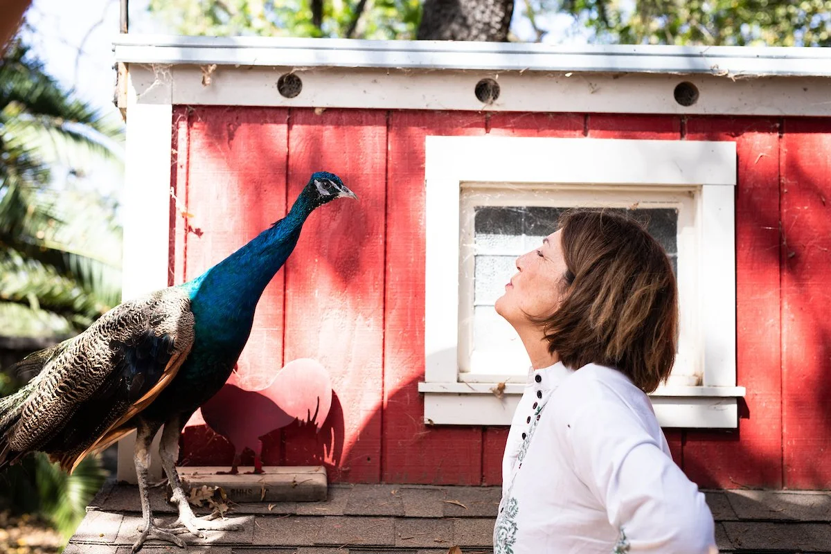 Chateau Drool — Paula Kornell Sparkling Wine | Napa Valley Winery