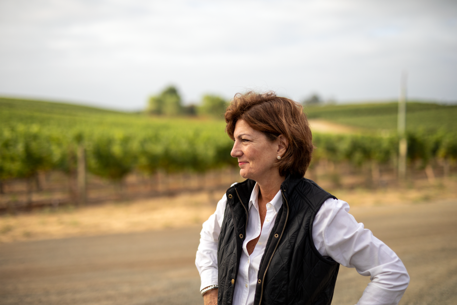 Paula Kornell Sparkling Wine | Napa Valley Winery