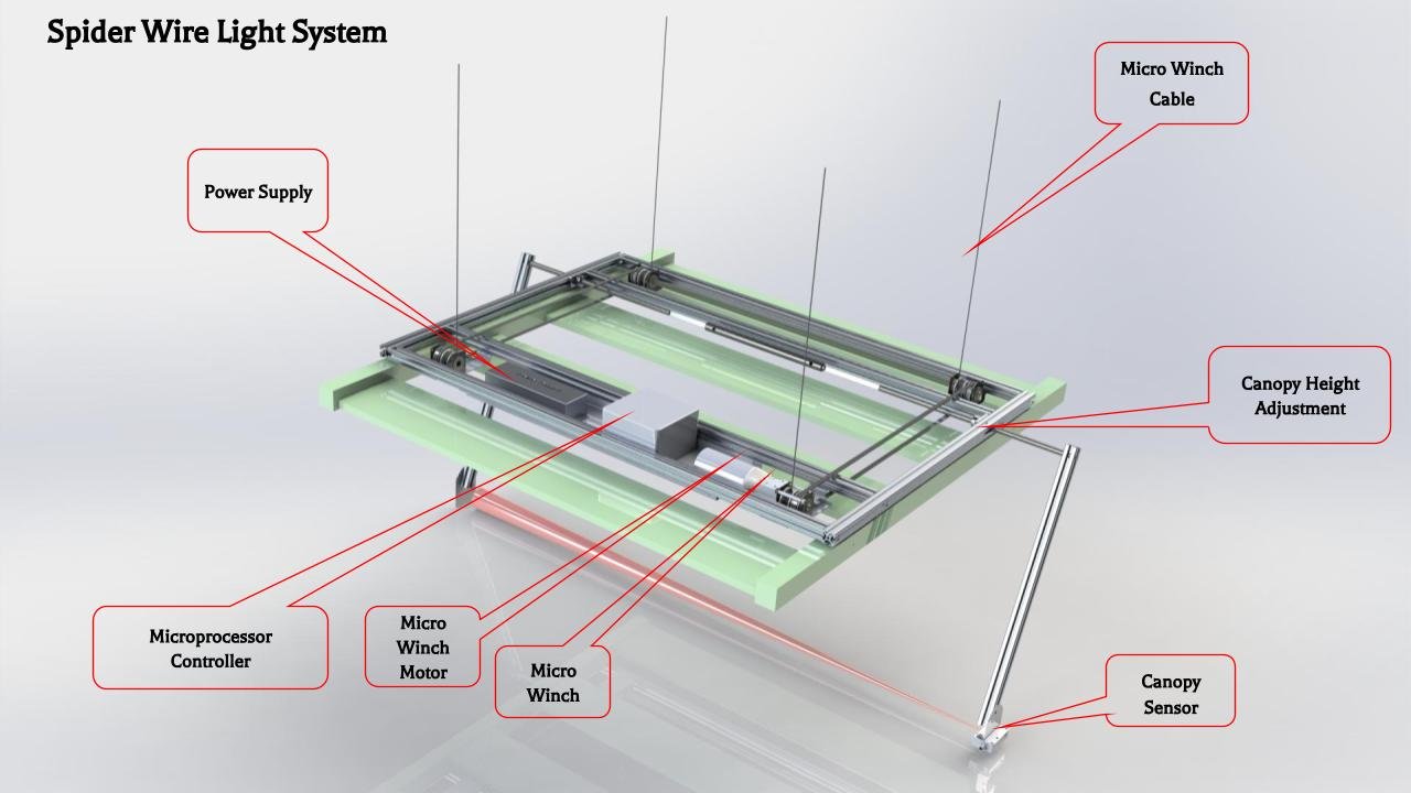 Spider Wire Light Systems™