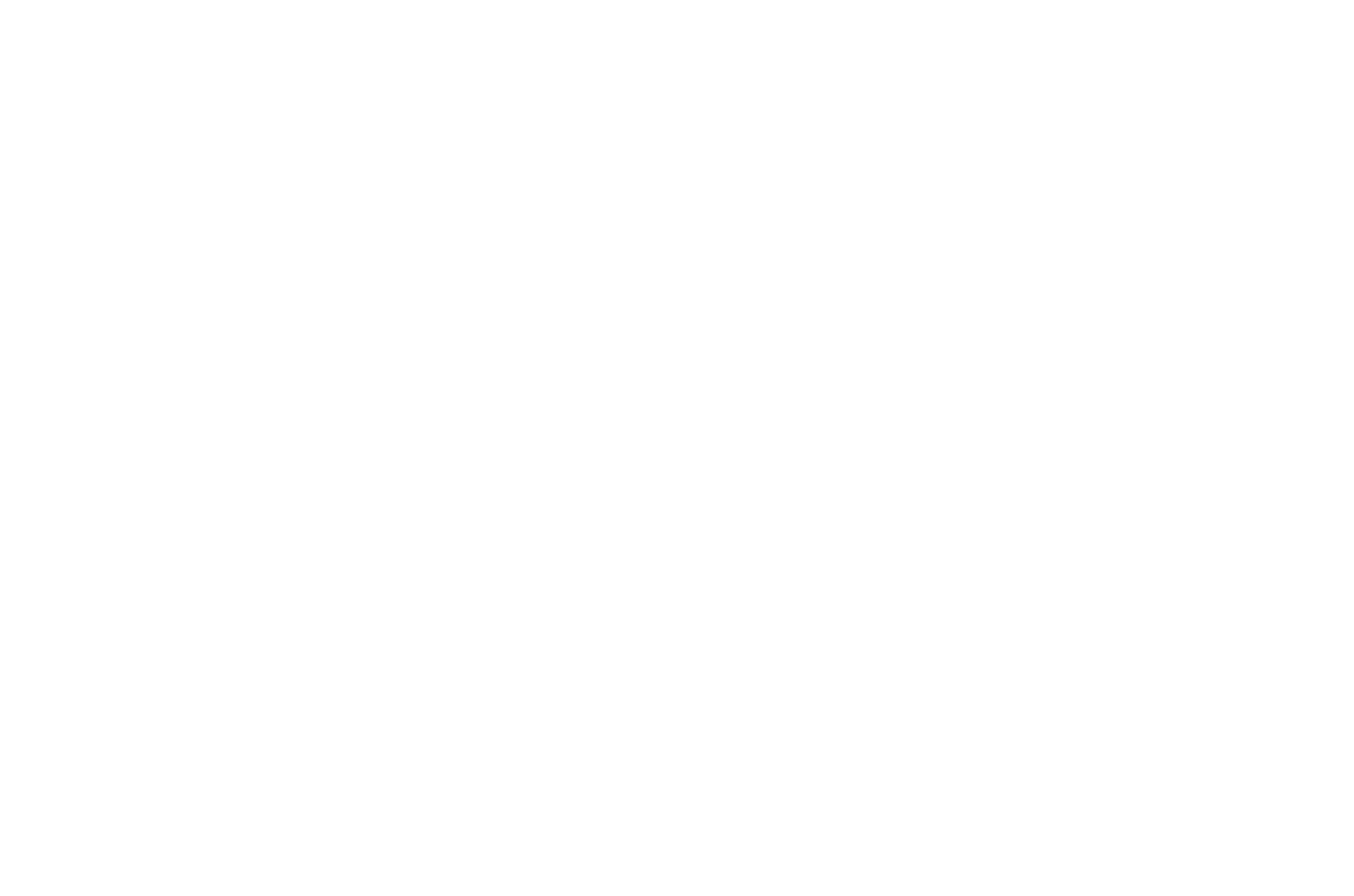 Portfolio — Tease Salon