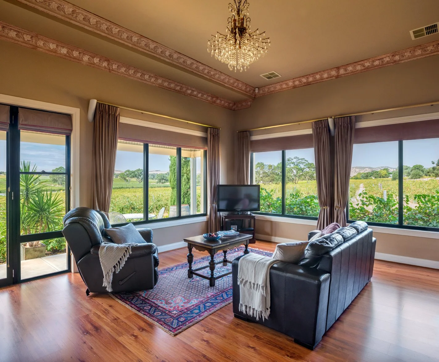 The Vines — Barossa Shiraz Estate