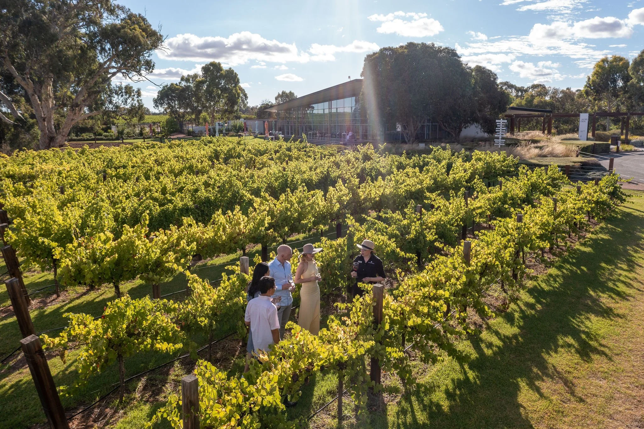 Jacobs Estate Cottage — Barossa Shiraz Estate