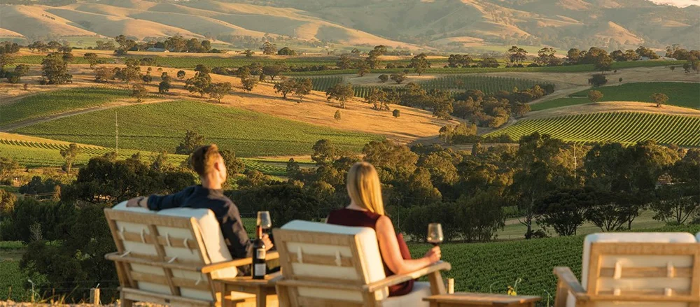 The Barossa — Barossa Shiraz Estate