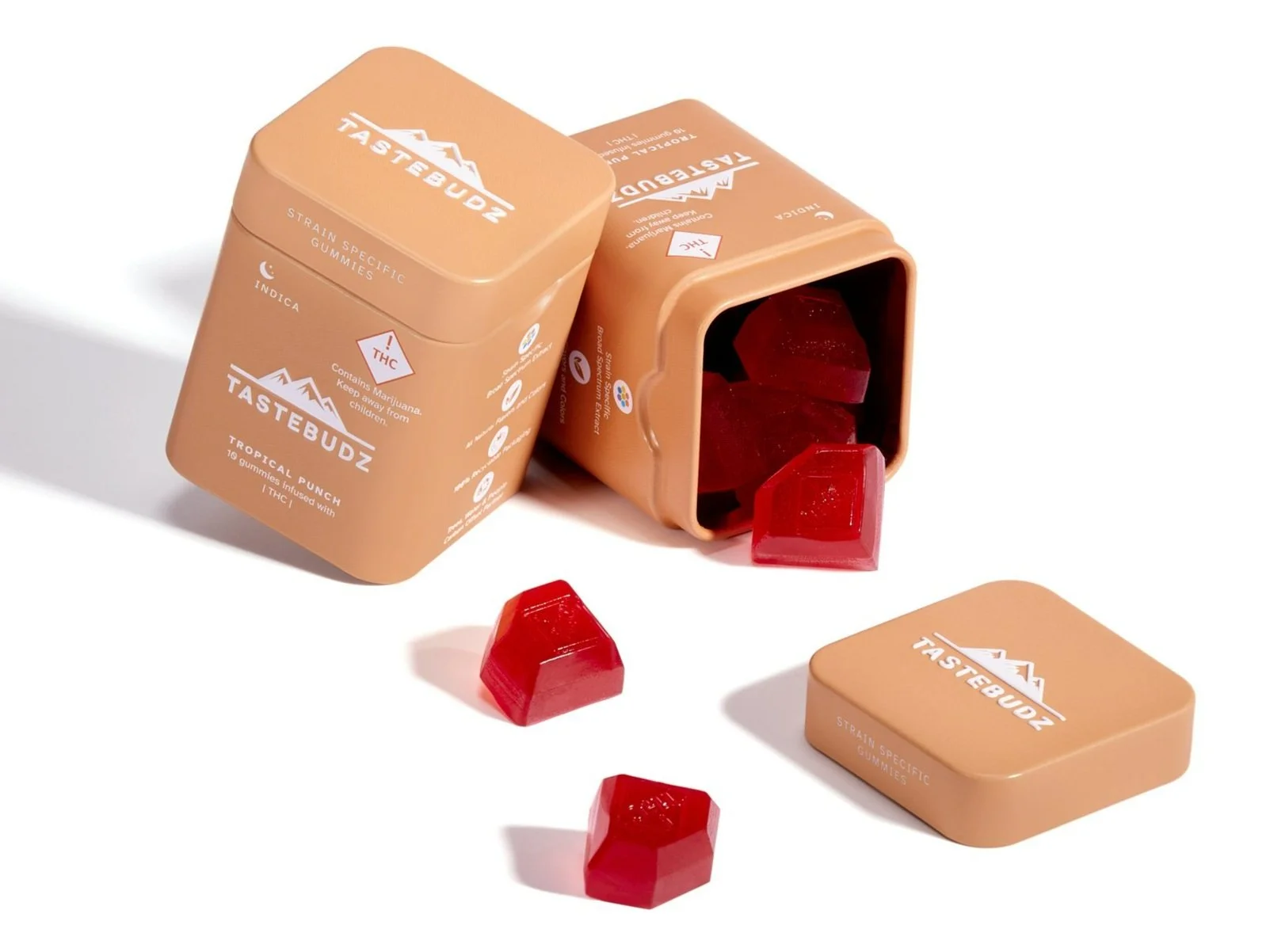 Tropical Punch — TasteBudz
