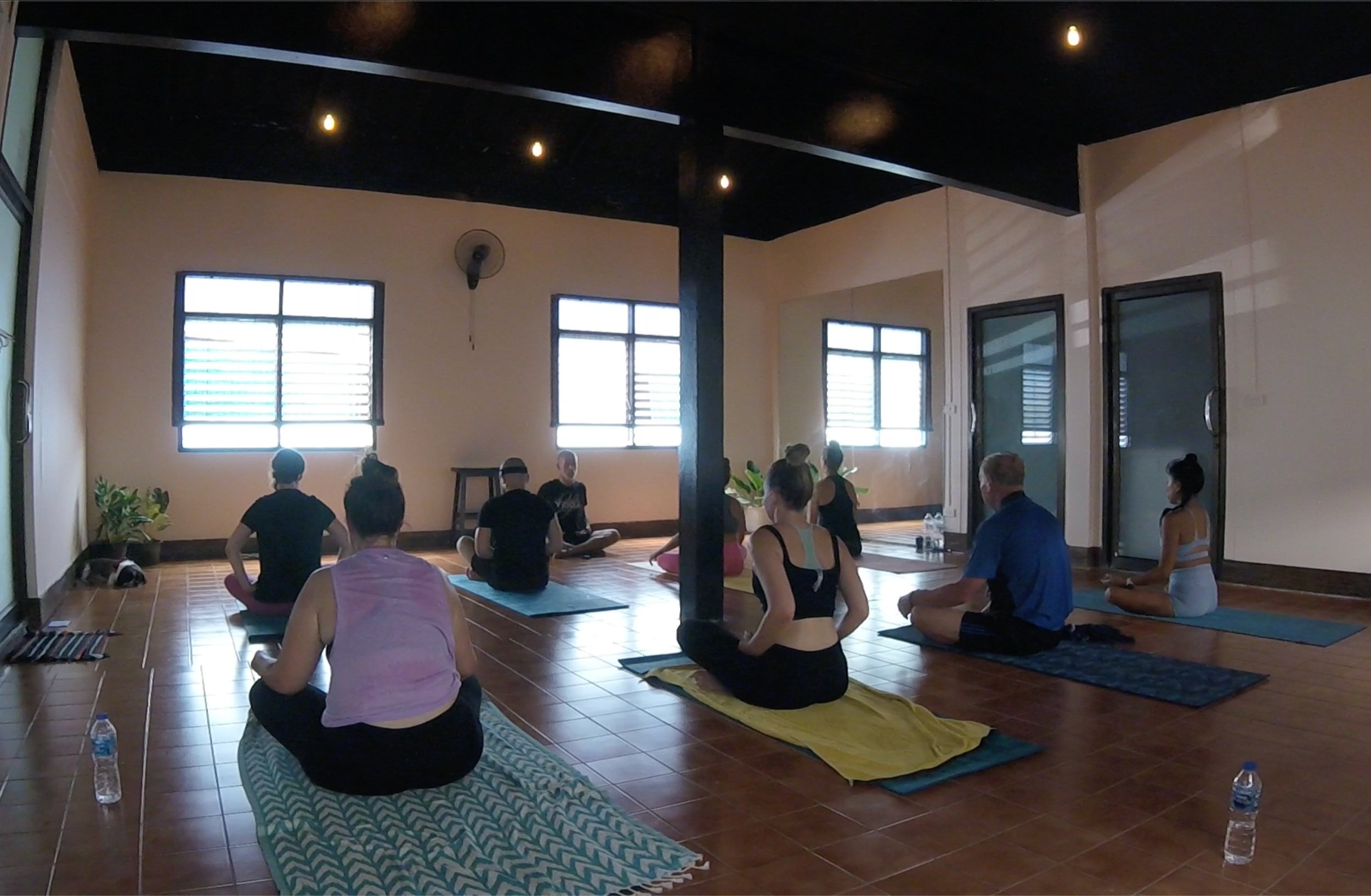 Vinyasa Yoga — The Yoga Shala