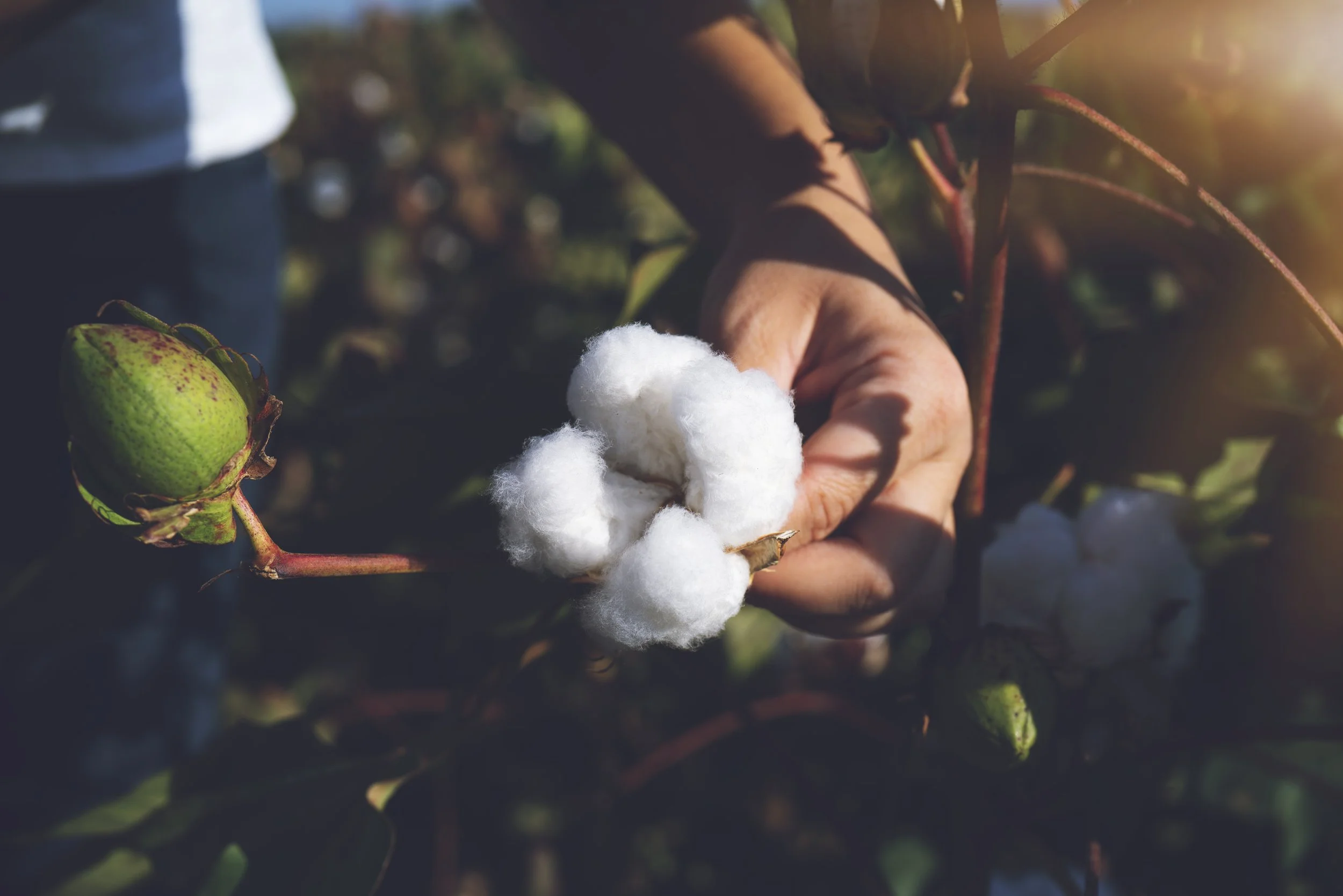Shifting to Sustainability: Merchandising & Gifting Go Green — Brand ...