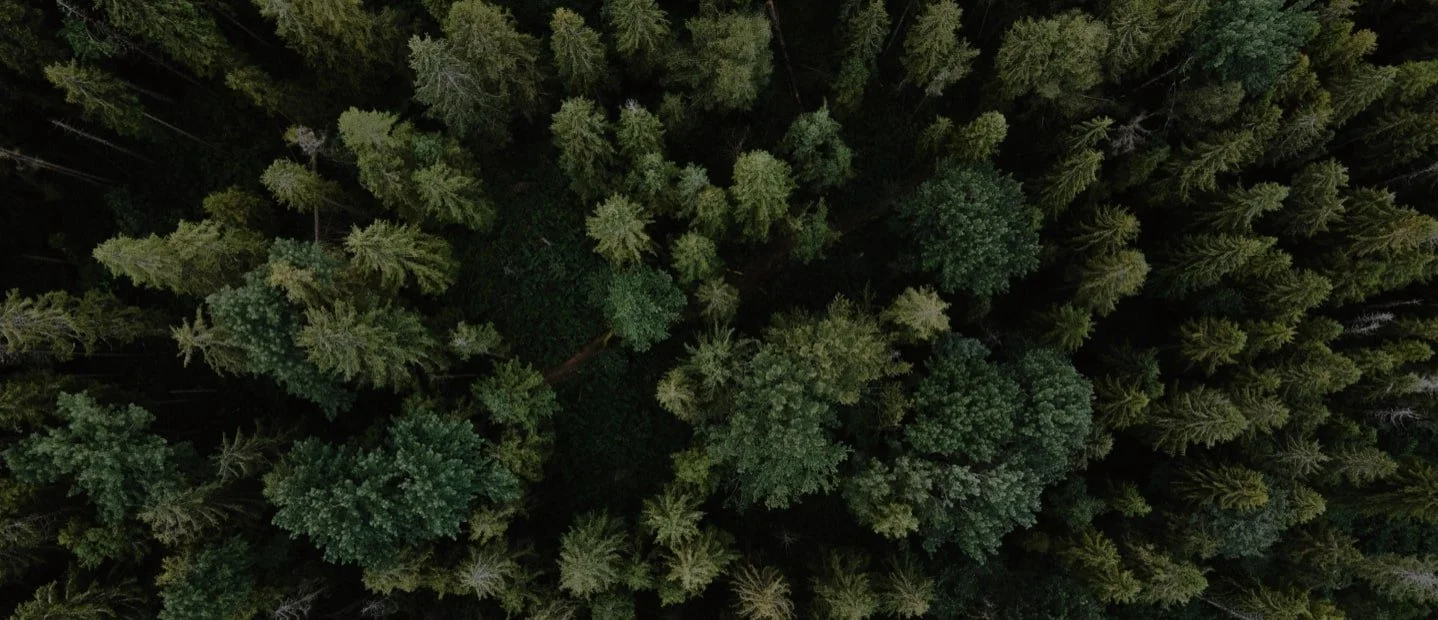 Sustainability | Brand Addition