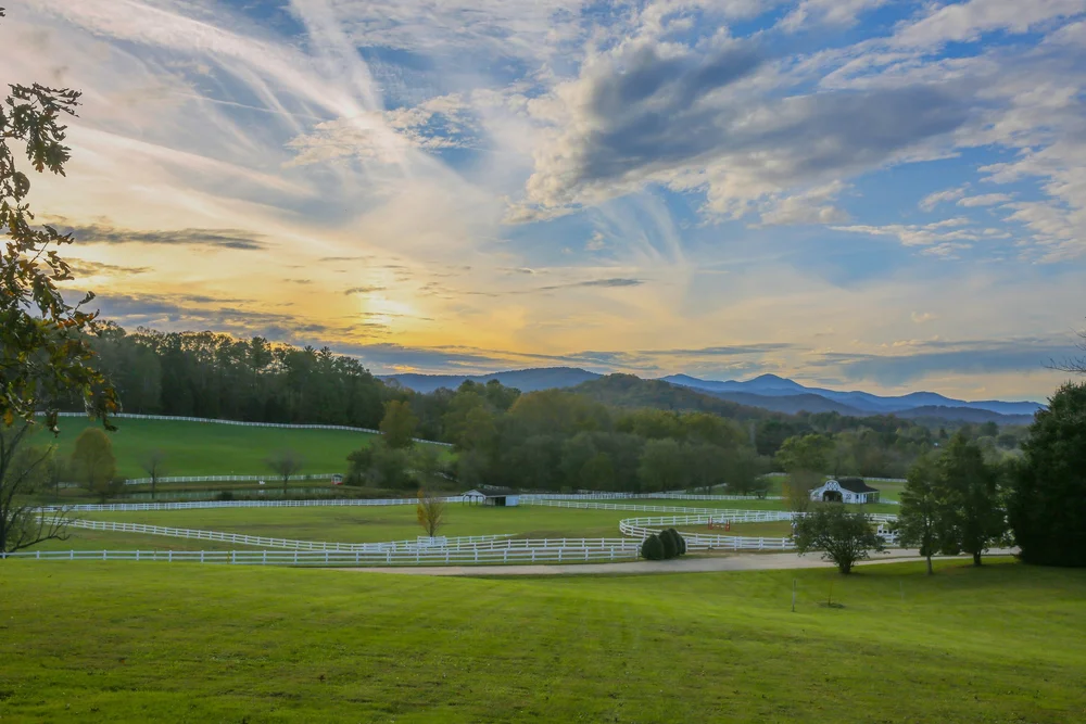 The Farm | All of the things to do at The Horse Shoe Farm | Boutique ...