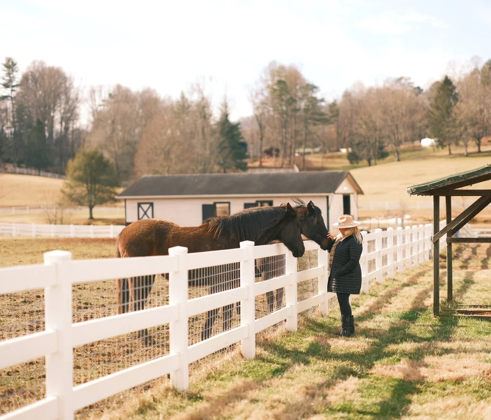 Meet Nelson and Marley, our resident black stallions, who have made The ...