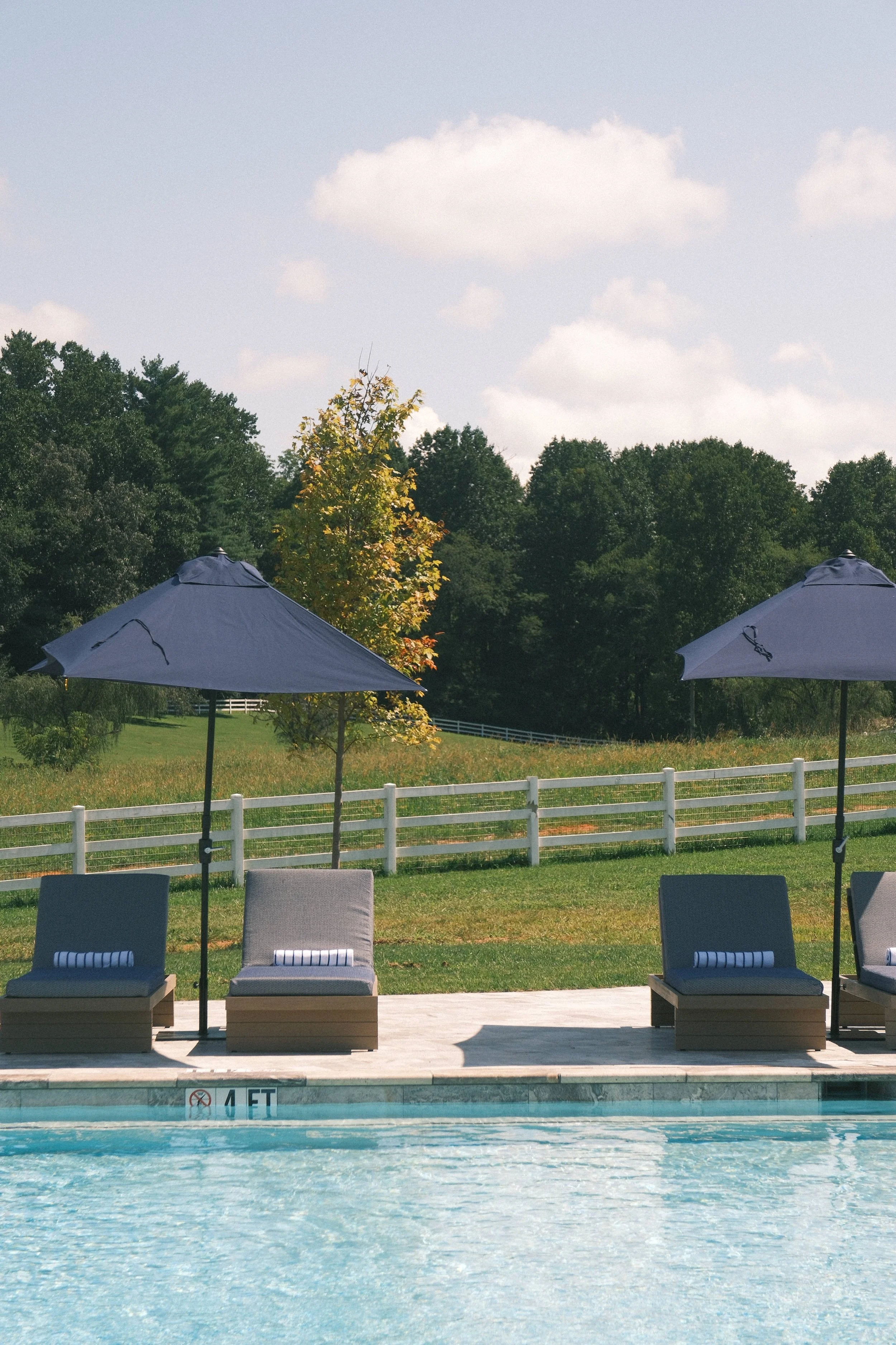 The Pool House — The Horse Shoe Farm Boutique Resort near Asheville, NC ...