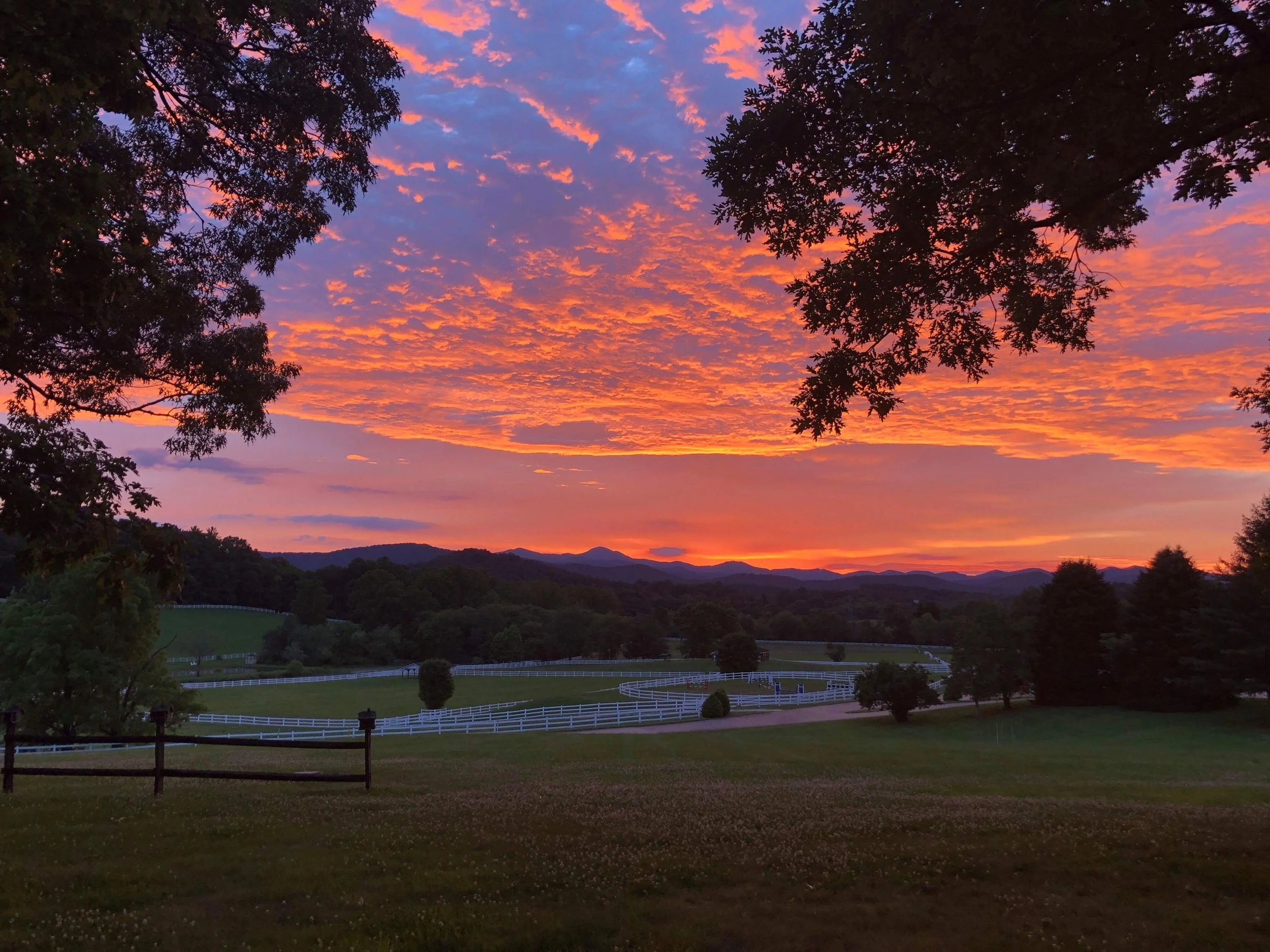 Outdoor Spaces & Places — The Horse Shoe Farm Boutique Resort near ...
