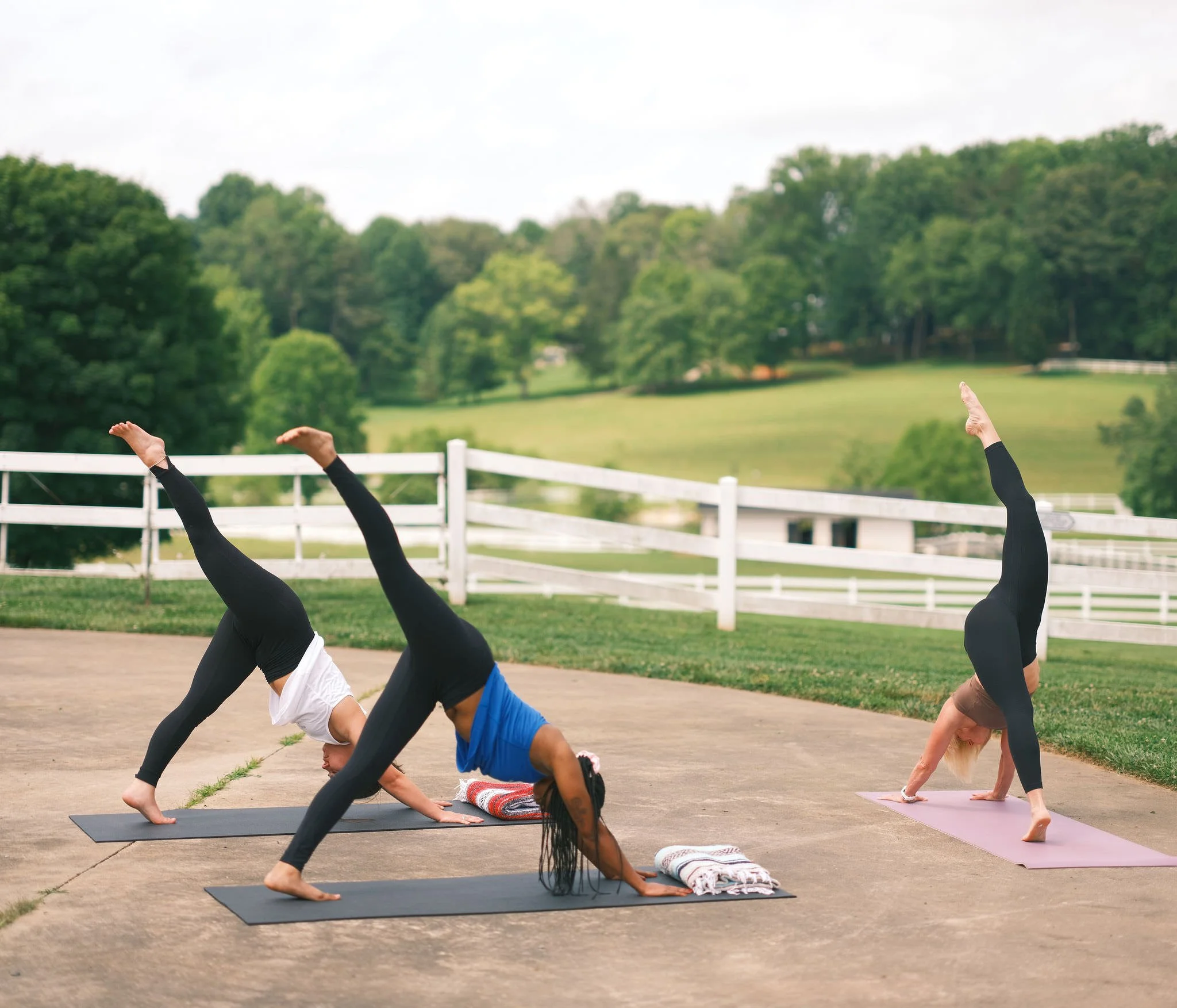 Saturday Sunrise Yoga Flow with Kelly Flowers — The Horse Shoe Farm ...