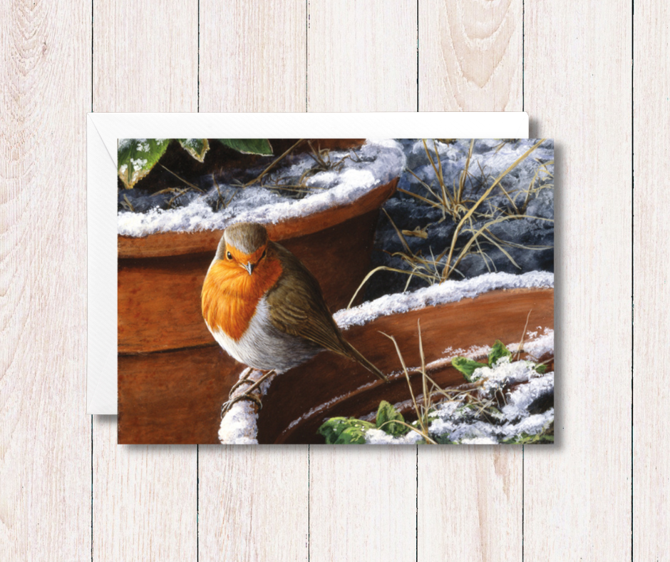 Robin Wildlife Birthday Card | Robin Christmas Card — Cachet Cards & Prints