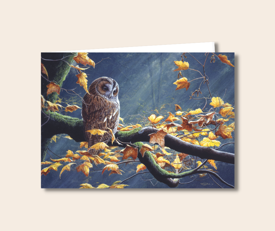 Tawny Owl Birthday Card | Tawny Owl Wildlife Card — Cachet Cards & Prints