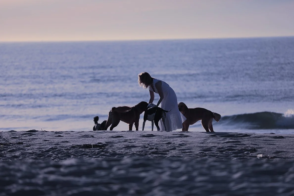 Video — Kate Baker Jazz