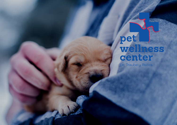 Pet Wellness Center