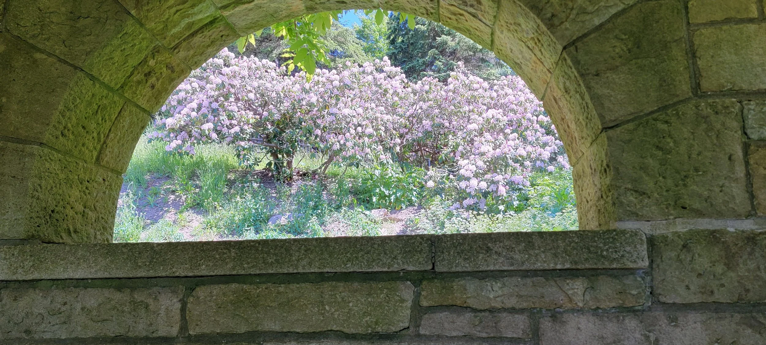 Field Trip to Mount Assisi in Loretto — The Garden Club of Johnstown