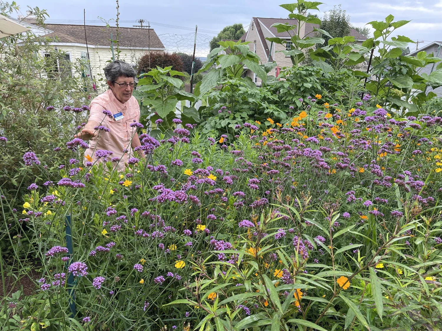 Barbara Rosenberg Program and Garden Tour — The Garden Club of Johnstown