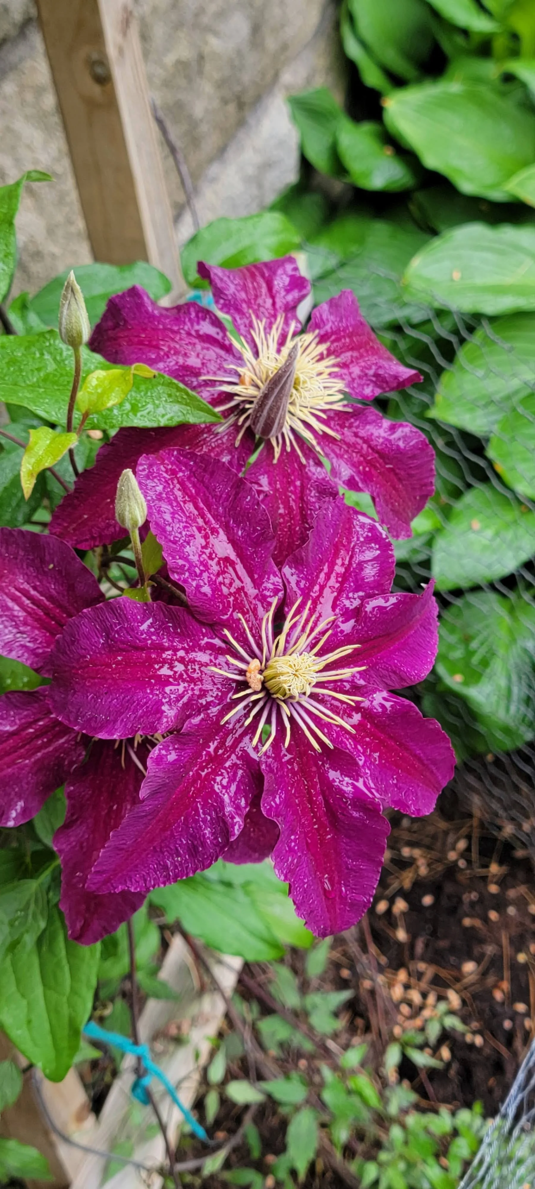 Field Trip to Mount Assisi in Loretto — The Garden Club of Johnstown